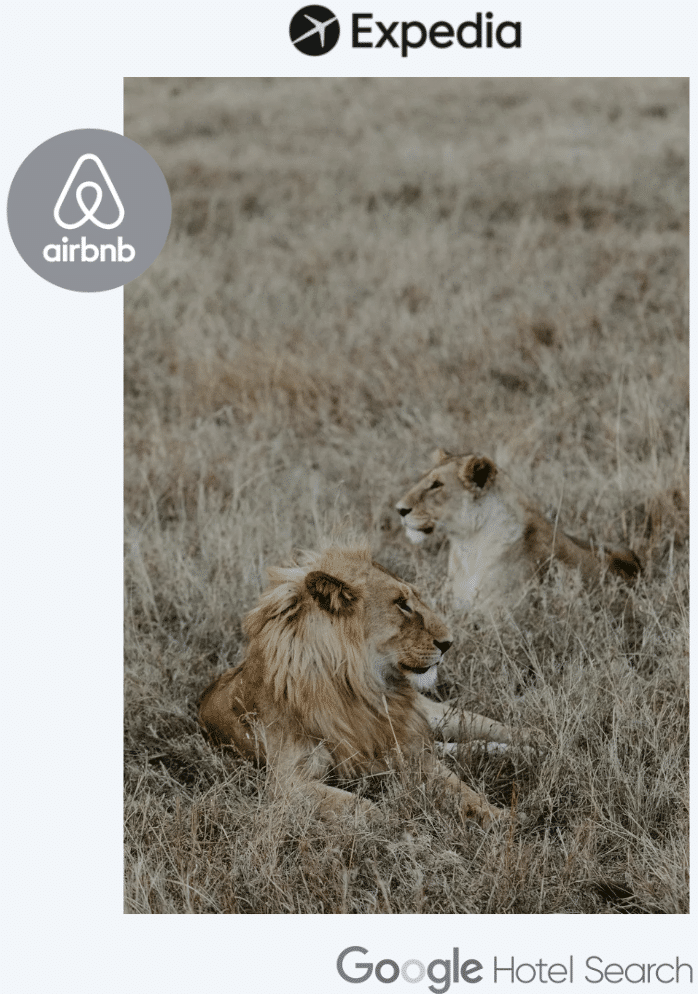 Lodge Management System | All-In-One and Easy-To-Use